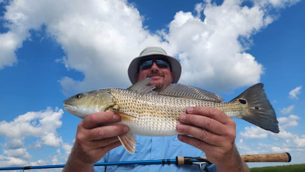 Beginner's Guide to Myrtle Beach Fishing Charters ...